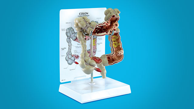 Medical Charts - Prime Pacific Health